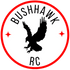 Bush Hawk RC Online Store